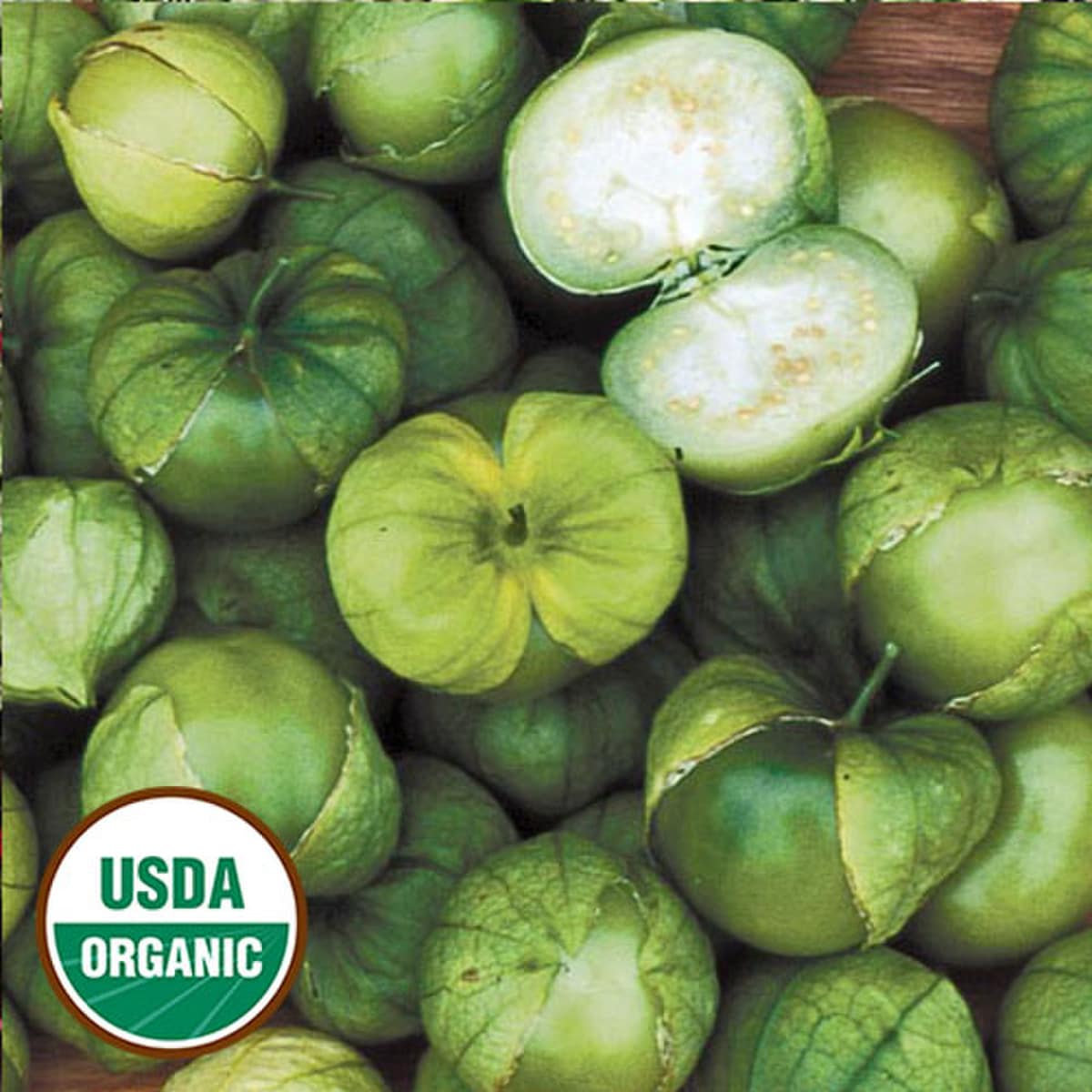 Tomatillo, Green Husk Organic Seeds – Snakeroot Botanicals
