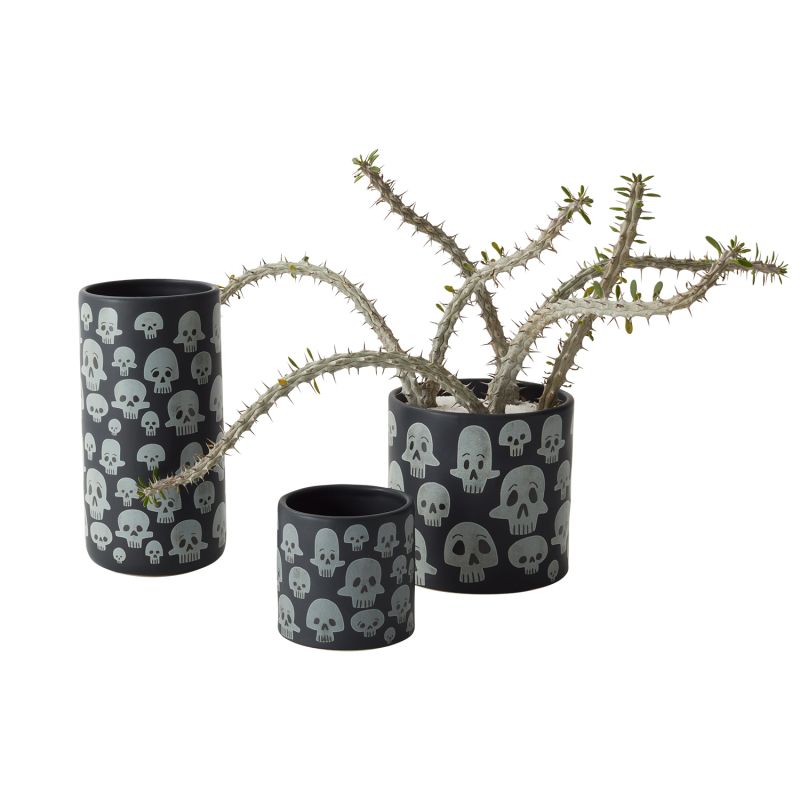 Snakeroot Botanicals || Indy's Neighborhood Garden Center & Plant Shop