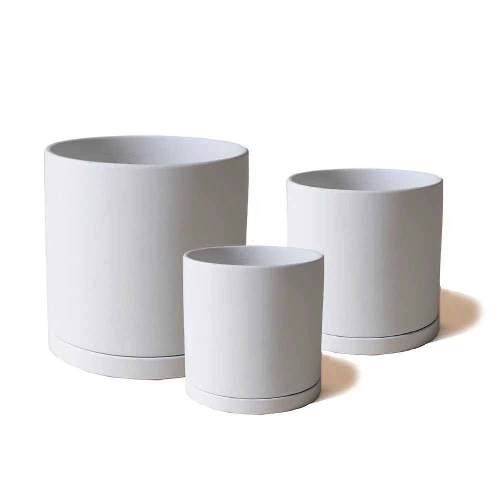 Dojo Pot and Saucer – Snakeroot Botanicals